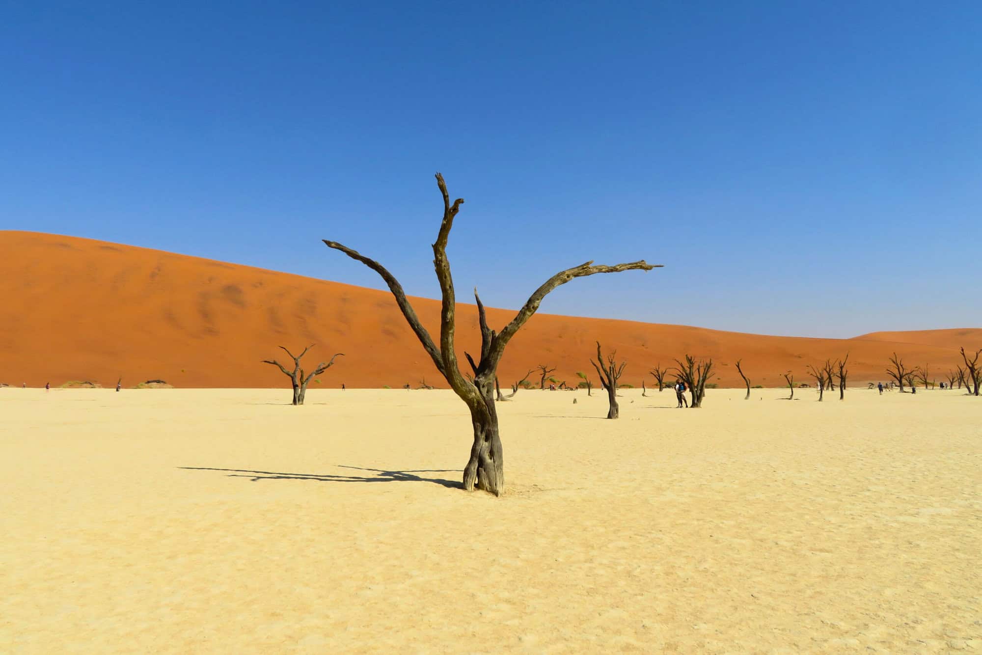 Astonishingly Alien Landscapes on Earth! - Odyssey World